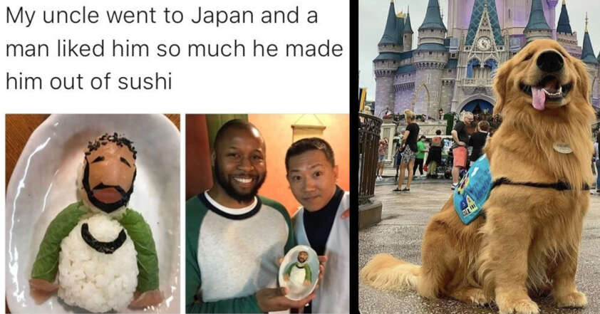 10 Wondrously Wholesome Posts To Deliver The Happy Feels - The Scroller