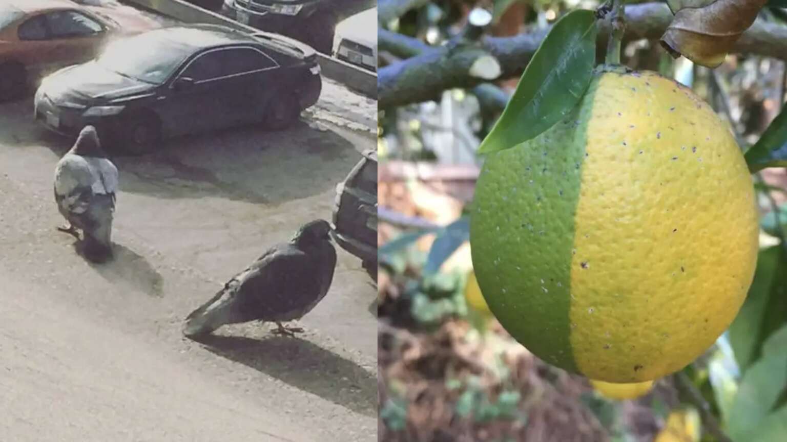 13 Photos That Require Big Brains Energy To Figure Out - The Scroller