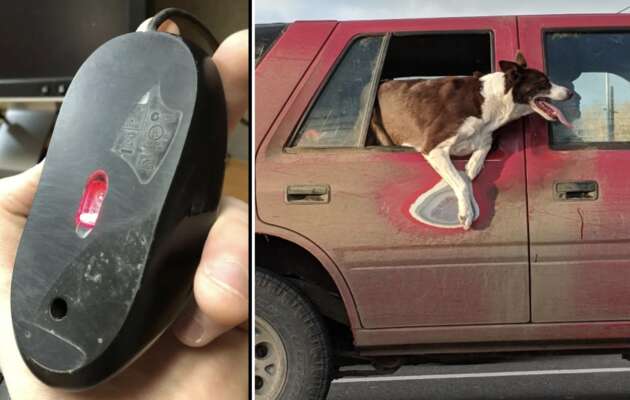 19 Safety Fails and Mishaps That Prove Humanity Is Doomed - The Scroller