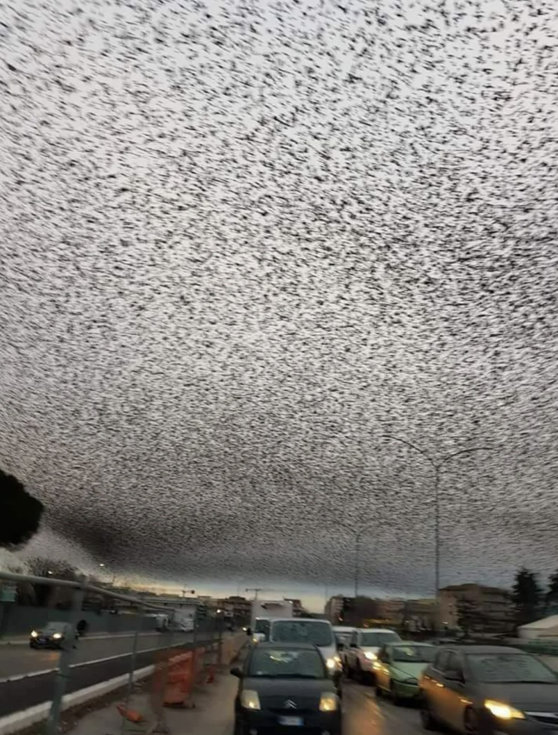 20 Glitch in the Matrix Pics That Prove Life Is A Simulation - The Scroller