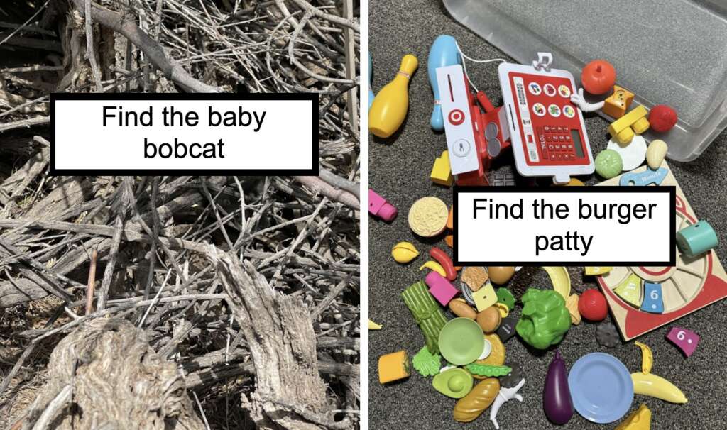 19 Tricky Photos That Have Things Hiding In Plain Sight - The Scroller
