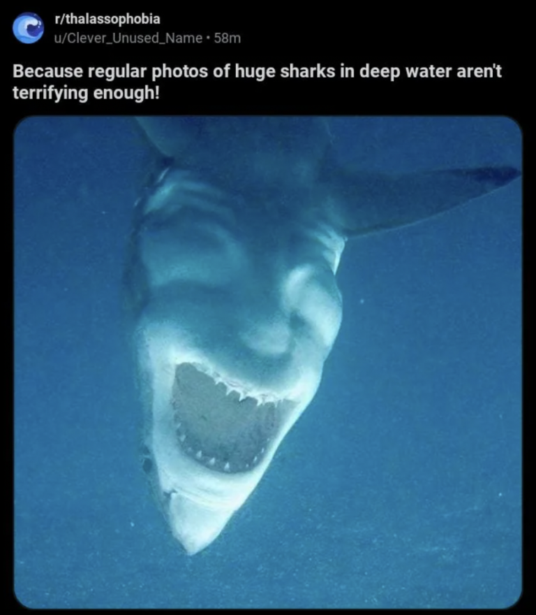 19 Mind-Bending Optical Illusion Photos That Trick the Eye