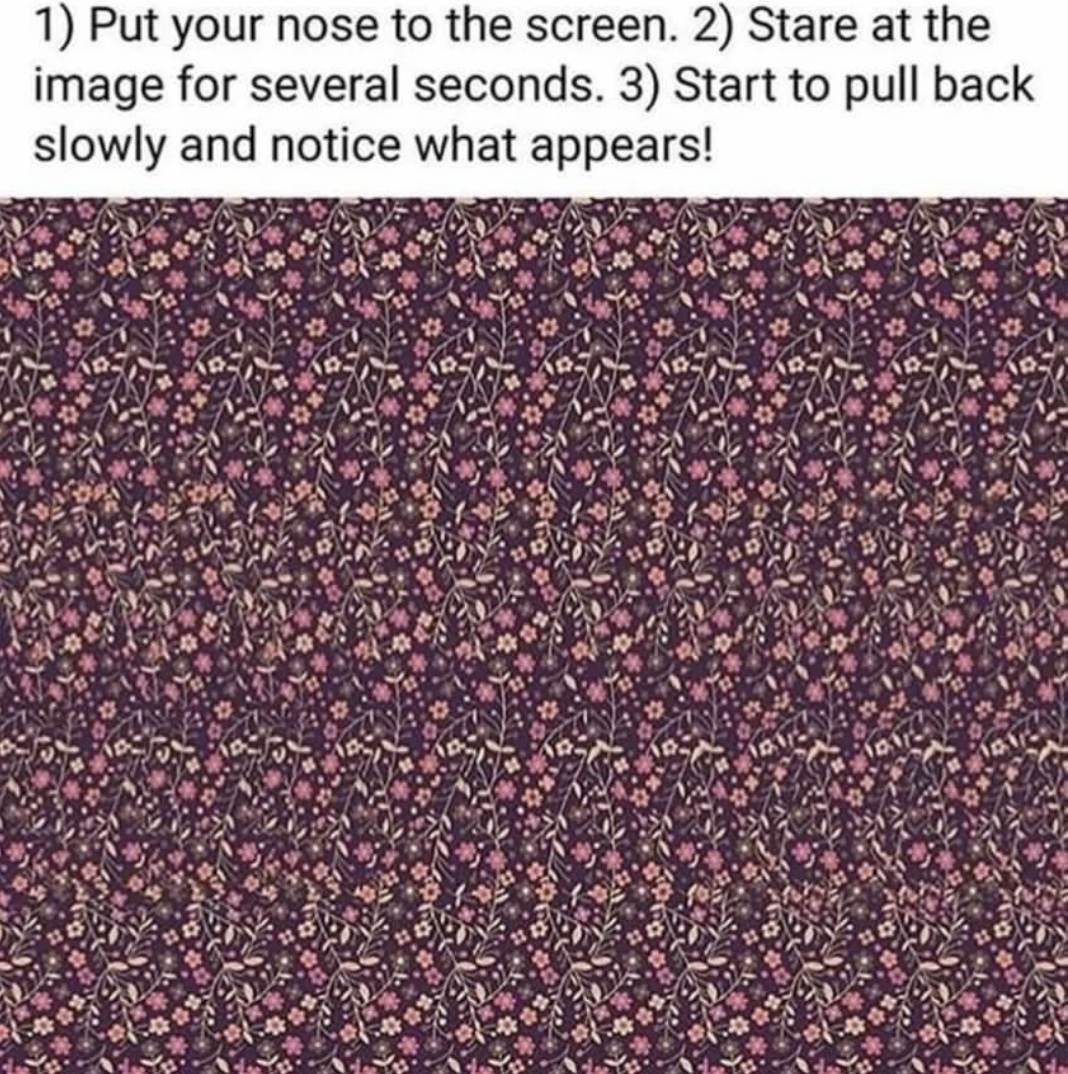 19 Mind-Bending Optical Illusion Photos That Trick the Eye