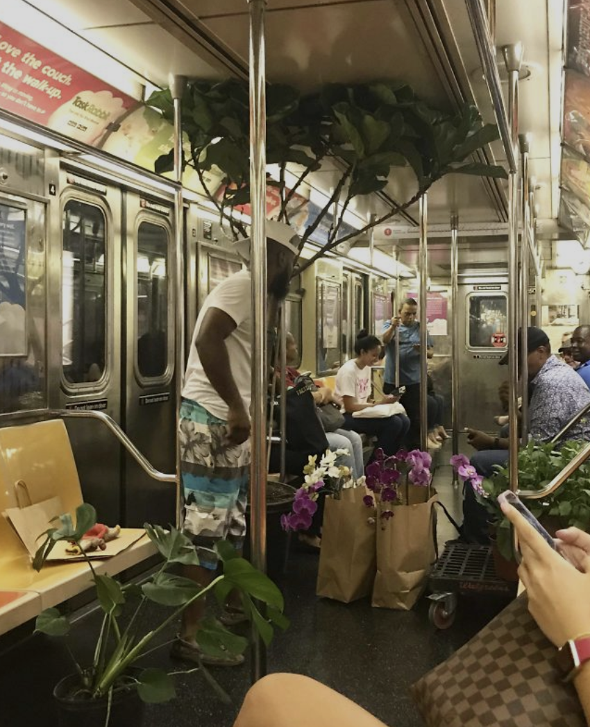 25 Bizarre Photos of People On The Subway - The Scroller