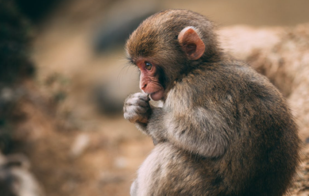19 Tragic Baby Names Parents Actually Named Their Children - The Scroller
