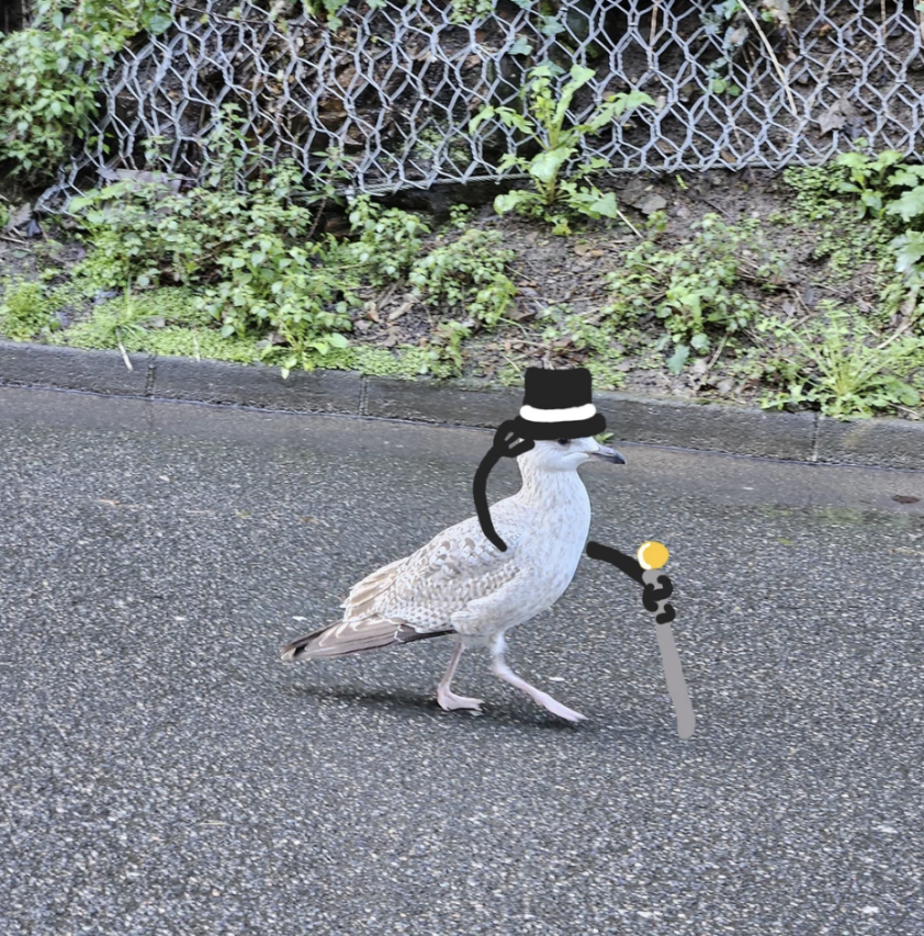 19 Hilarious Times Birds Were Photoshopped With Arms - The Scroller