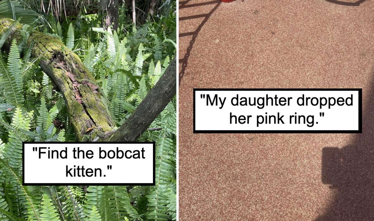 19 Pics of Well Camouflaged Things Hiding In Plain Sight