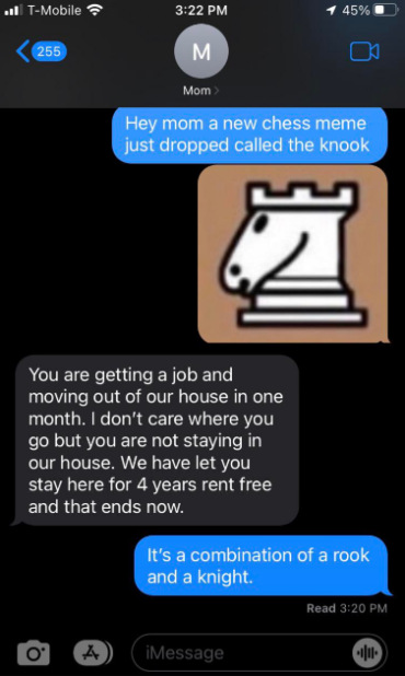 19 Hilarious Chess Memes For the Kings and Queens Among Us - The Scroller