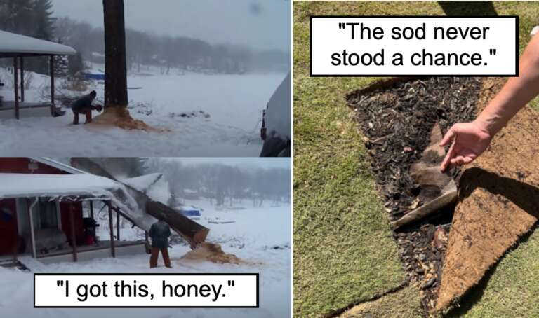 19 Landscaping Fails That Completely Ruined Homes - The Scroller