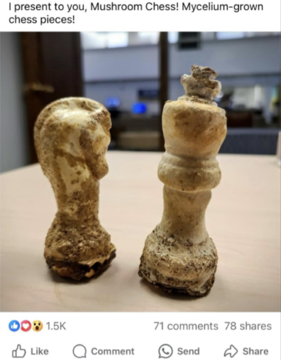 19 Hilarious Chess Memes For the Kings and Queens Among Us - The Scroller