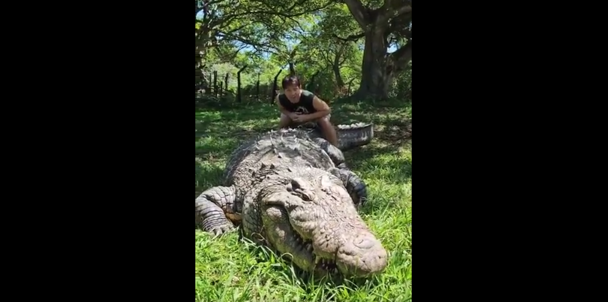 20 Scary Yet Stunning Fresh Water Monsters That We Saw This Week - The ...