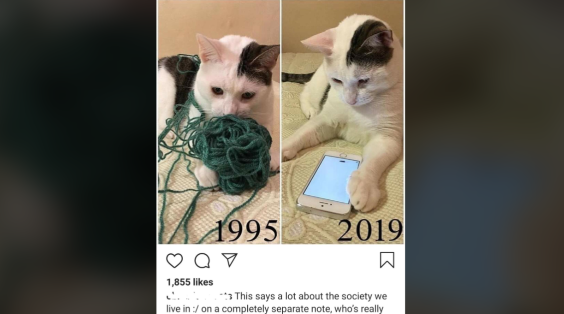 20 Times People Got Too Deep For No Reason - The Scroller