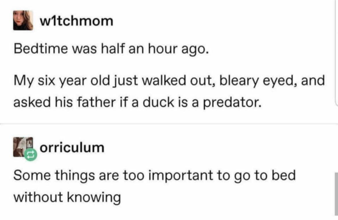 35 Pics That Prove Kids Are Funny Little Critters - The Scroller