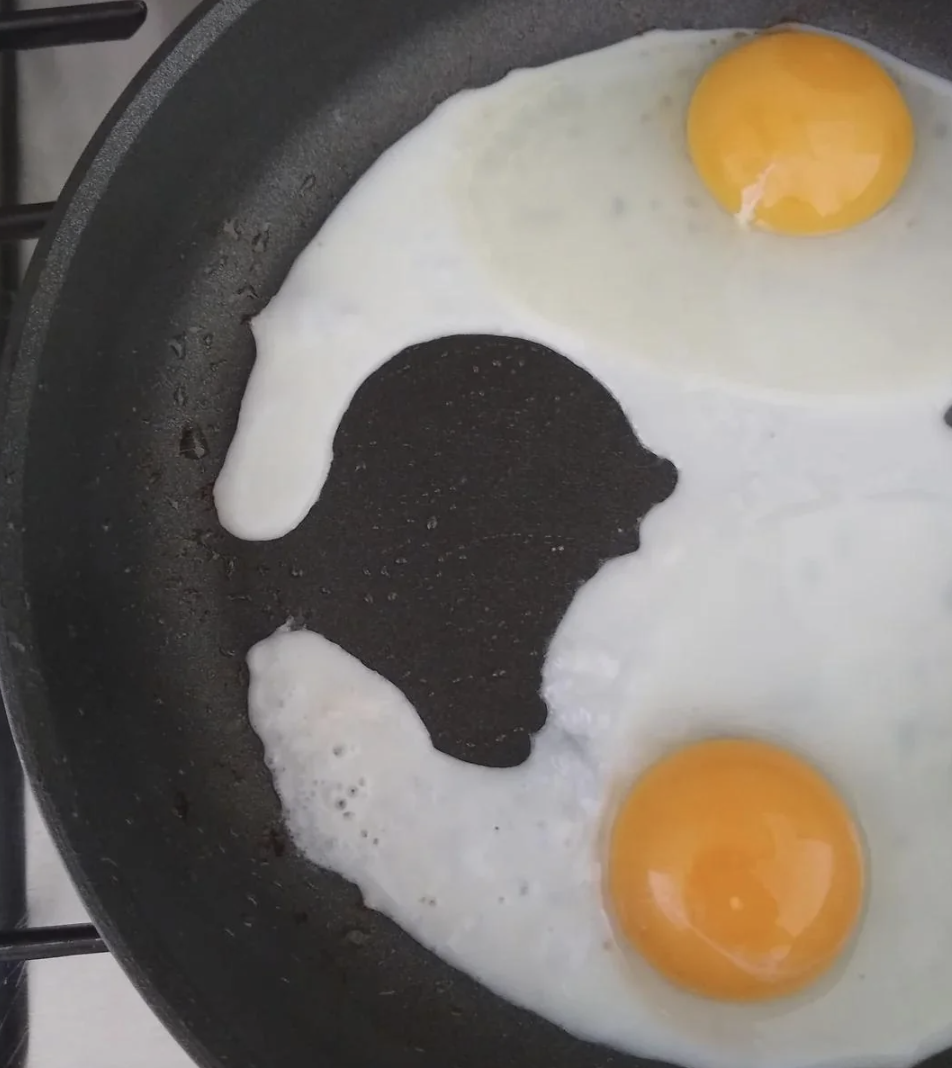 23 Pareidolia Photos of Things That Look Like Other Things