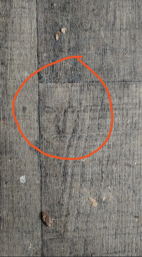23 Pareidolia Photos of Things That Look Like Other Things