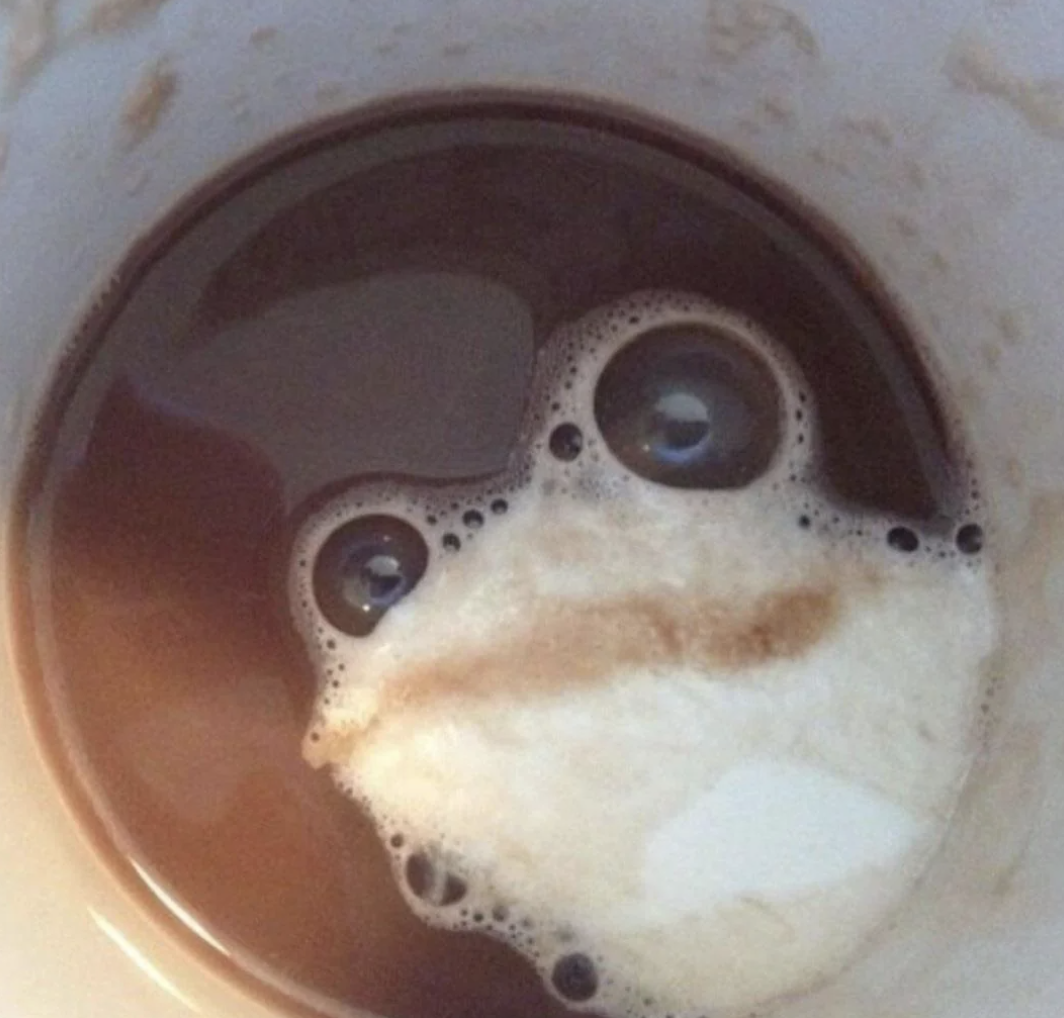 23 Pareidolia Photos of Things That Look Like Other Things