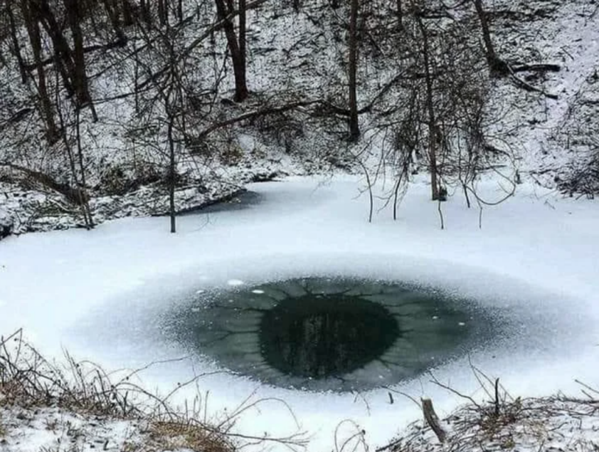 23 Pareidolia Photos of Things That Look Like Other Things