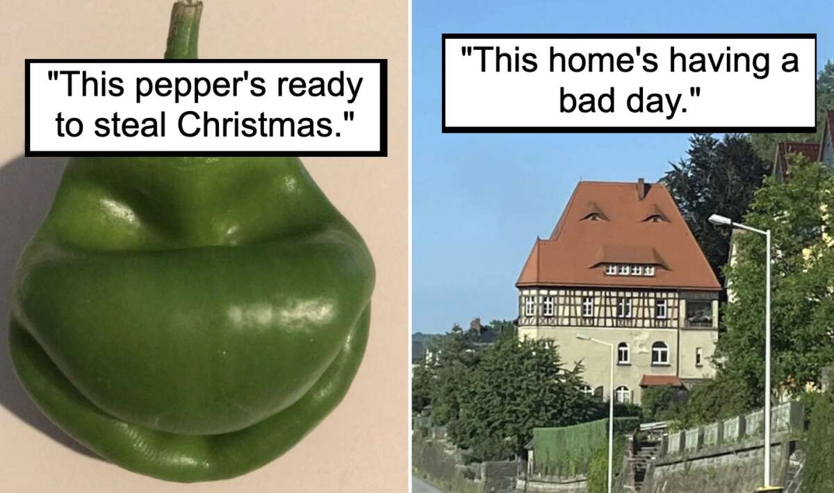 23 Pareidolia Photos of Things That Look Like Other Things
