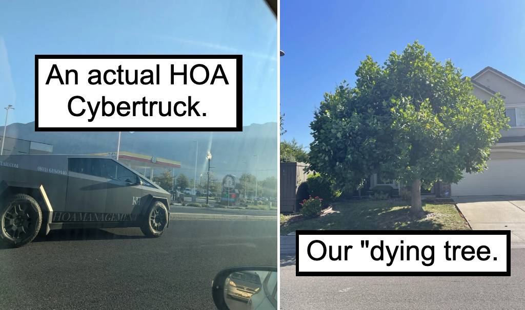 17 Memes and Images That Fully Capture The HOA's Insanity - The Scroller