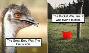 21 Comedic Events In History That Will Always Be Funny - The Scroller