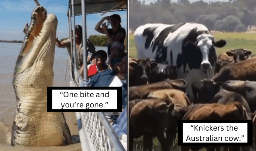 20 Gargantuan Versions Of Animals You Have To See - The Scroller