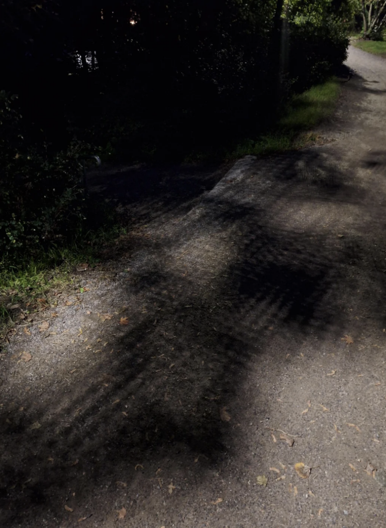 25 Eerie Glitches In The Matrix That Defy Logic - The Scroller