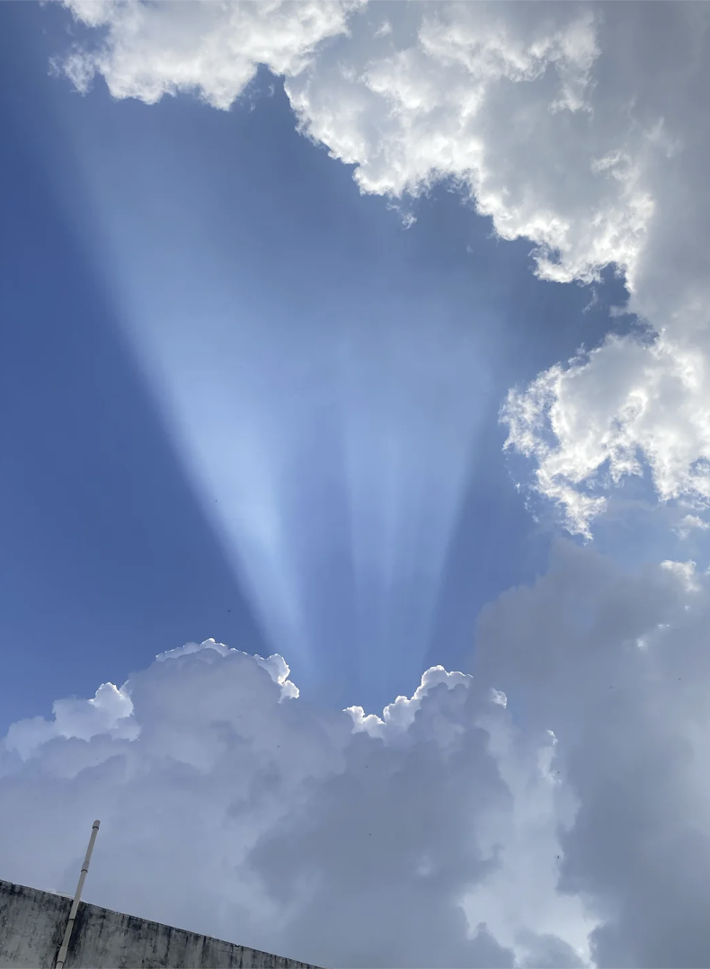 25 Eerie Glitches In The Matrix That Defy Logic - The Scroller