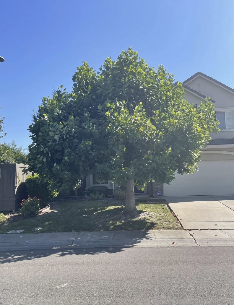 17 Memes and Images That Fully Capture The HOA's Insanity - The Scroller