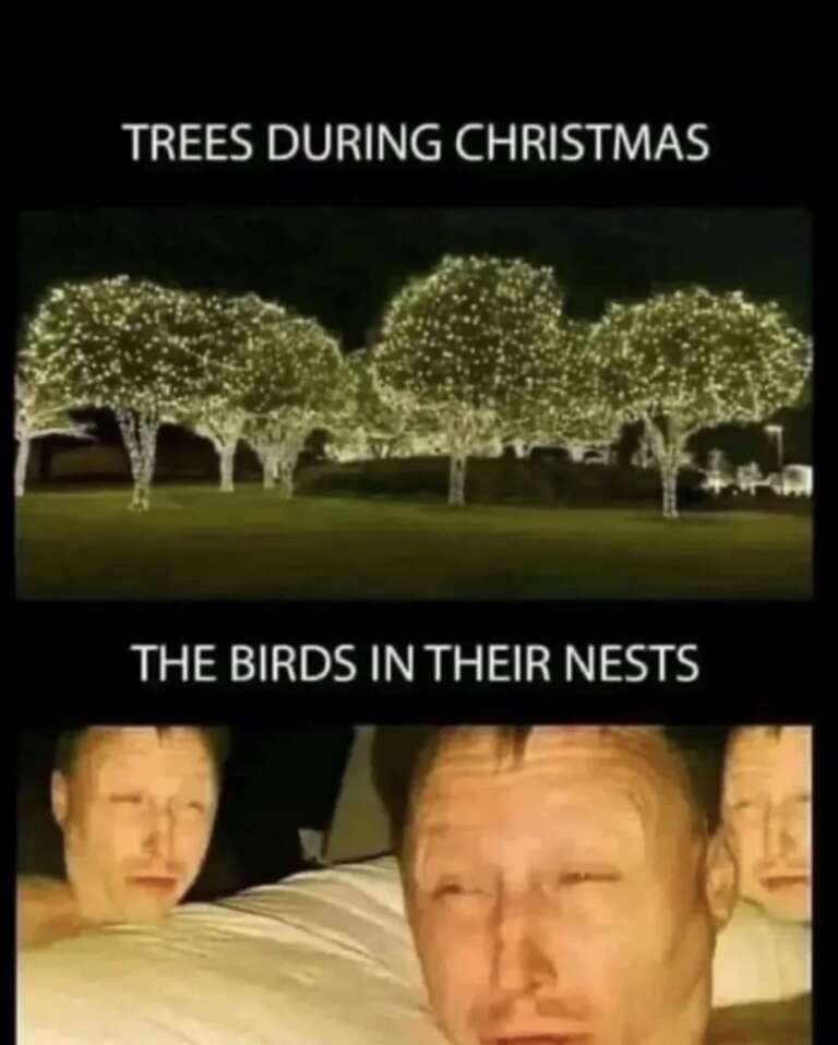 20 Christmas Memes That Capture This Wild Time of Year - The Scroller
