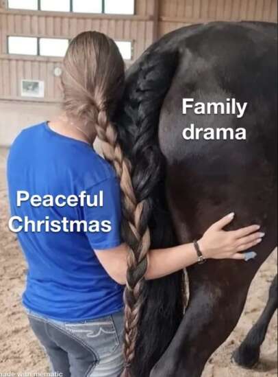 20 Christmas Memes That Capture This Wild Time of Year - The Scroller