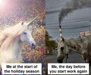 20 Christmas Memes That Capture This Wild Time of Year - The Scroller