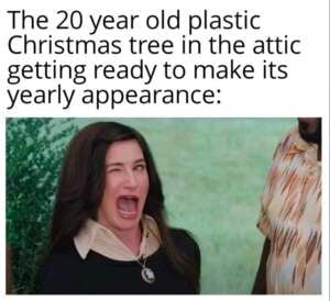 20 Christmas Memes That Capture This Wild Time of Year - The Scroller