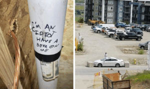 20 Construction Photos That Are a Bucket Full of Laughs