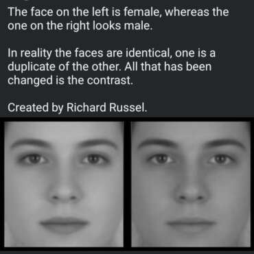 25 Deceptive Photos That Are More Like Optical Illusions - The Scroller
