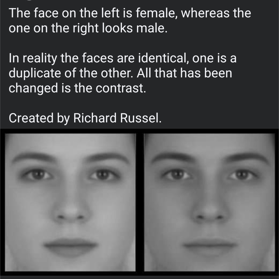 25 Deceptive Photos That Are More Like Optical Illusions - The Scroller