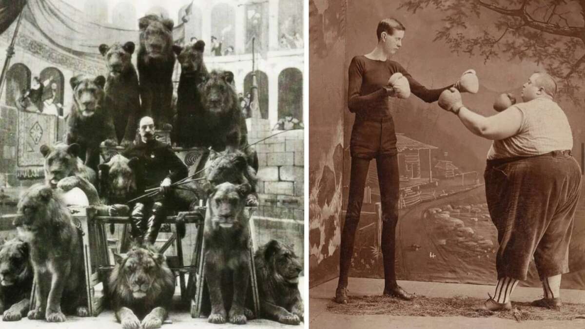 20 Old School Photos That Capture the Chaotic Spirit of Circus Life ...
