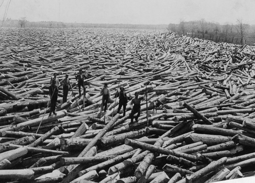15 Striking Images of Lumberjacks Who Ruled the Forests in the Early ...