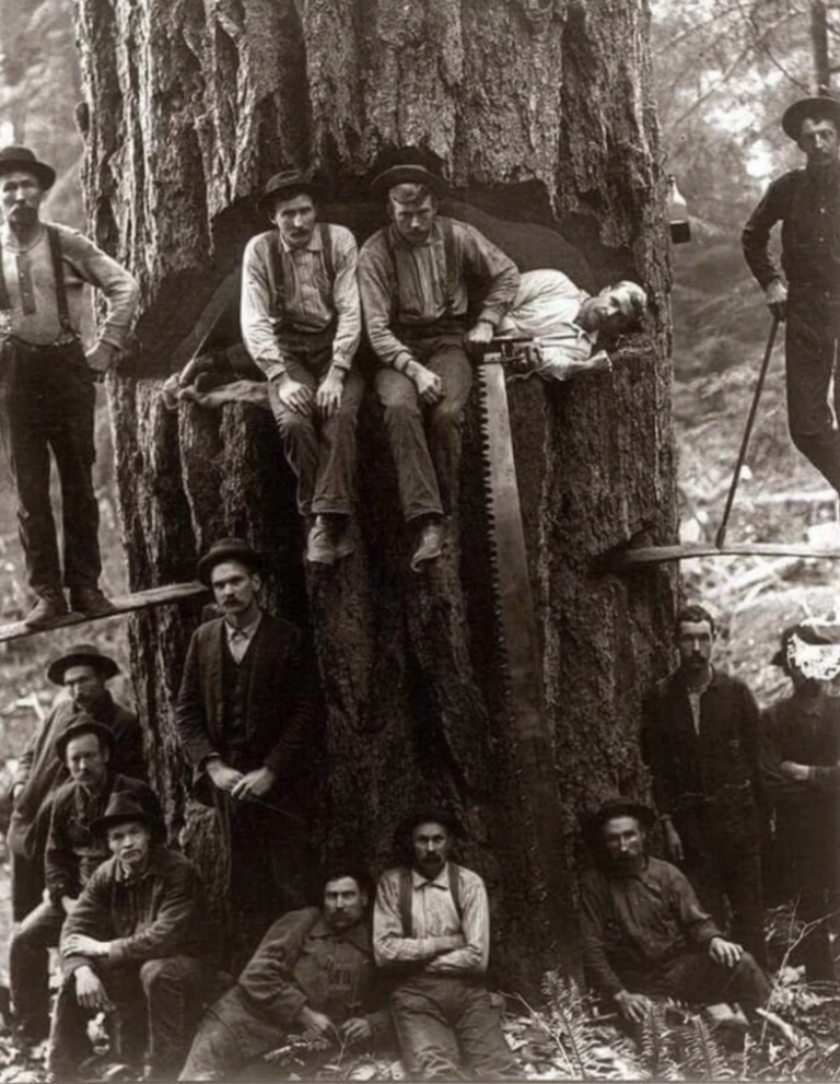 15 Striking Images of Lumberjacks Who Ruled the Forests in the Early ...