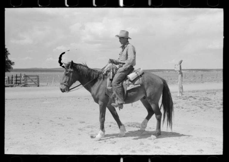 15 Vintage Photos That Capture the Rugged Spirit of Cowboys - The Scroller