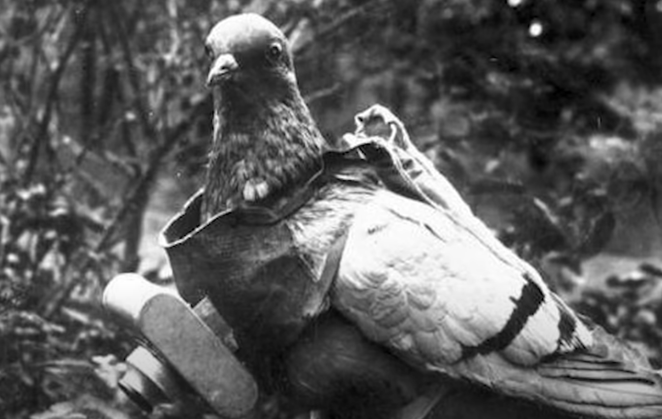 15 Spy Gadgets That Were Used During the Cold War - The Scroller