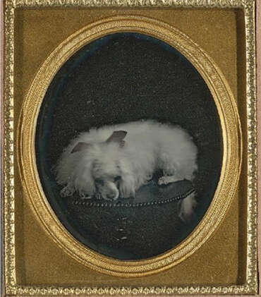 Photos That Bring the 1850s to Life - The Scroller