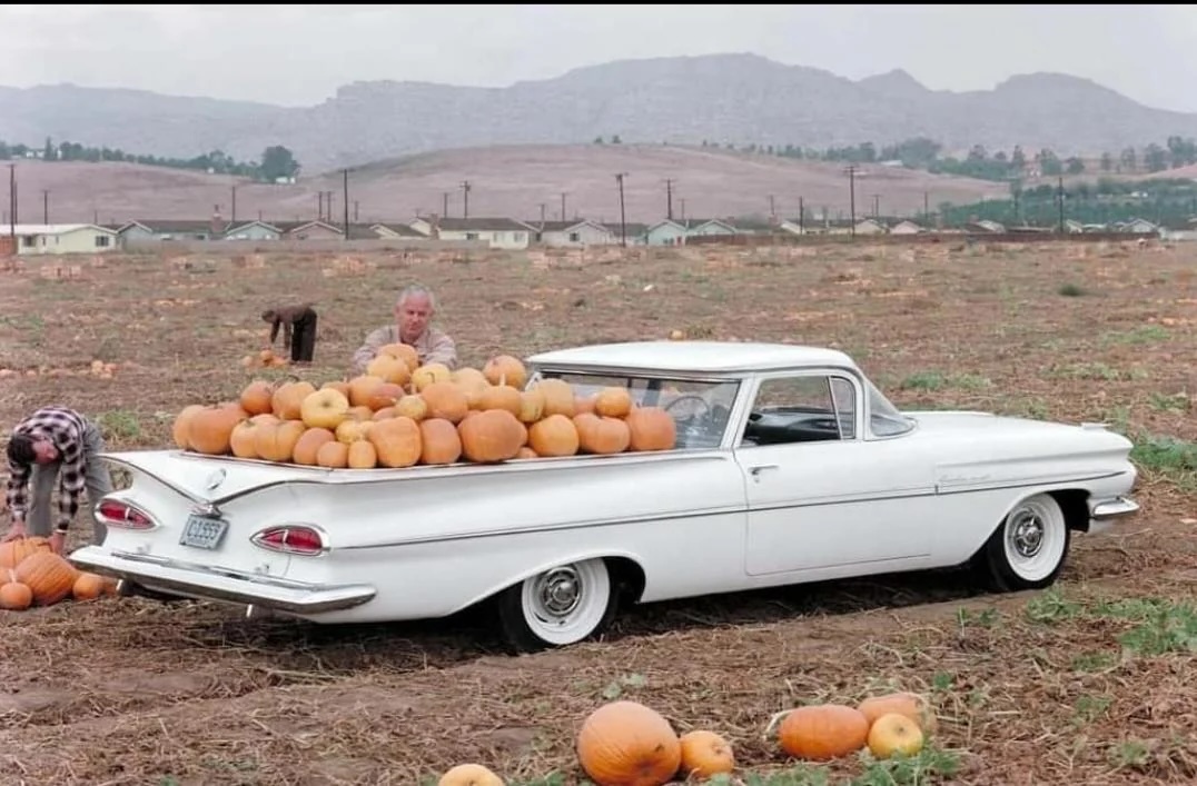 20 Vintage Photos That Bring Old Farms to Life - The Scroller