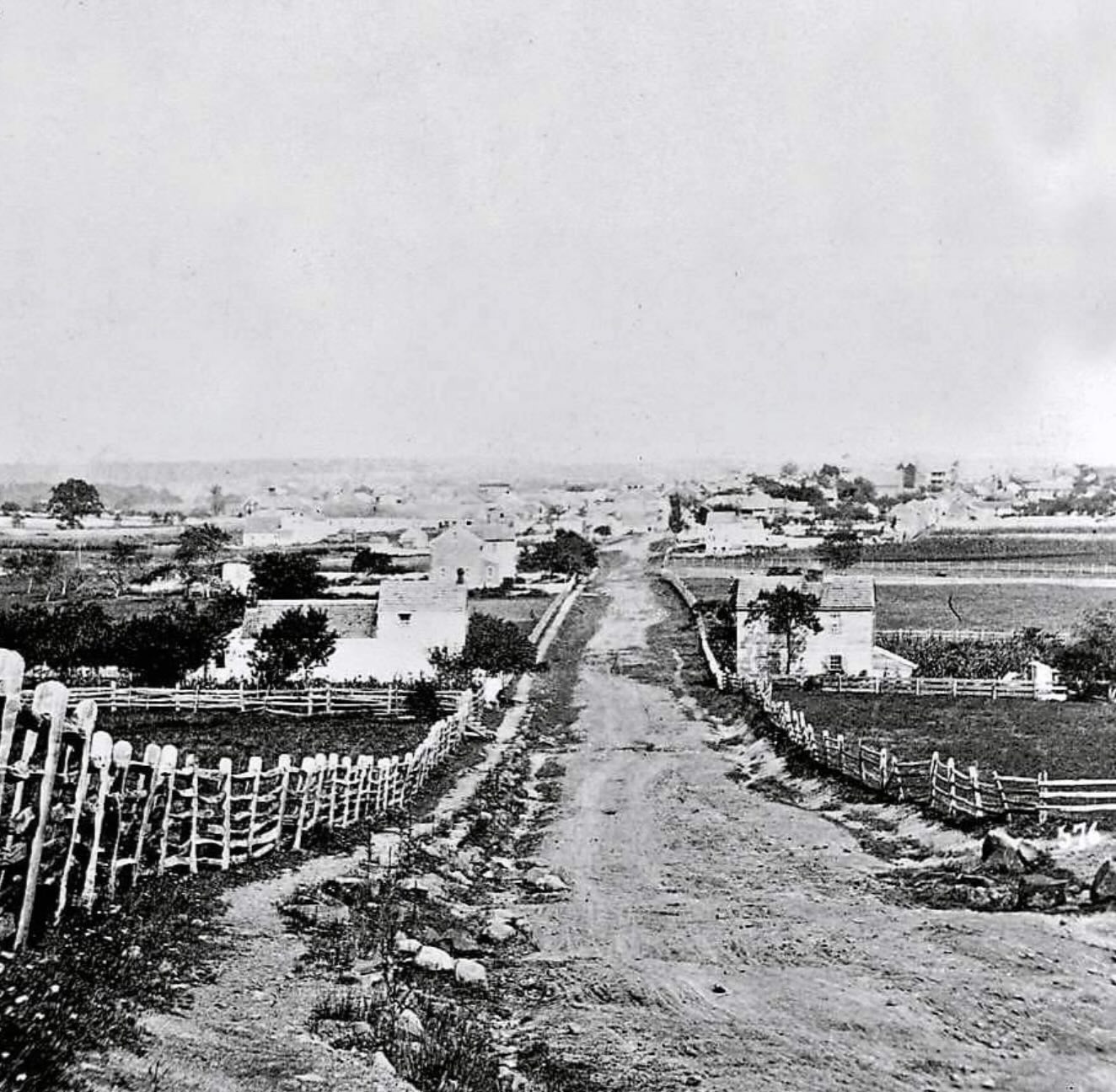 20 Vintage 1870s Photos
