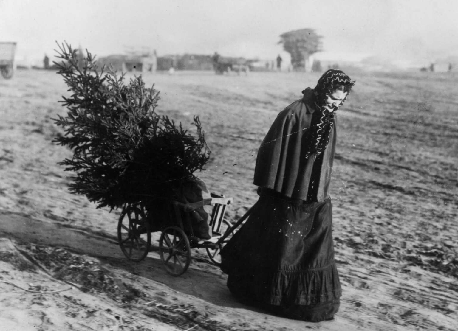 30 Vintage Mid-1890s Photos