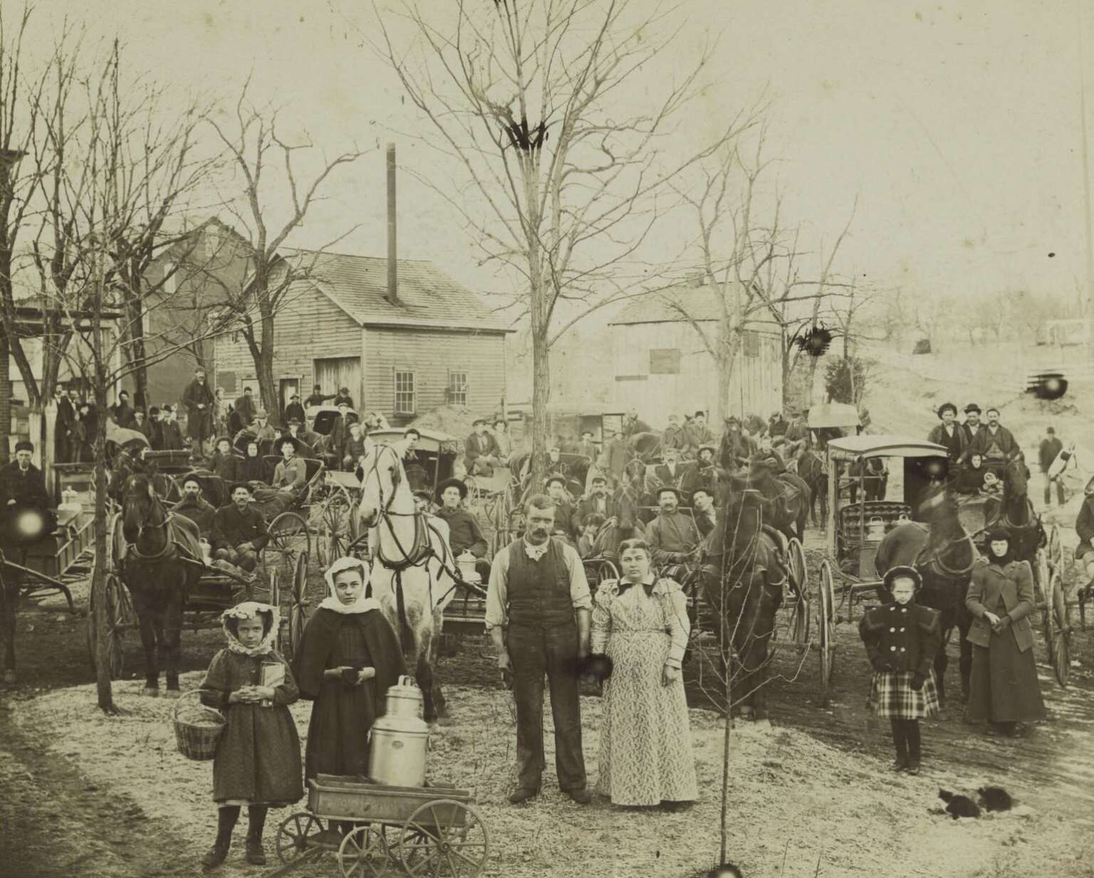 30 Vintage Mid-1890s Photos