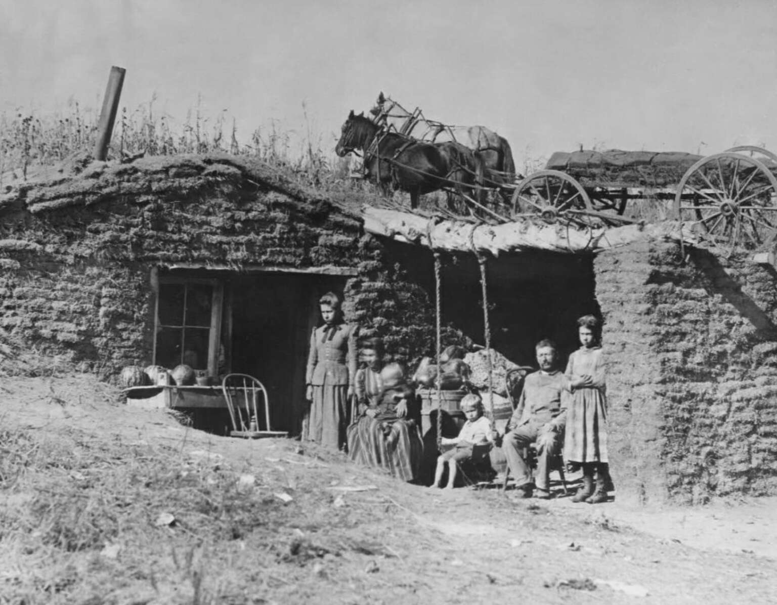 35 Vintage Early 1890s Photos