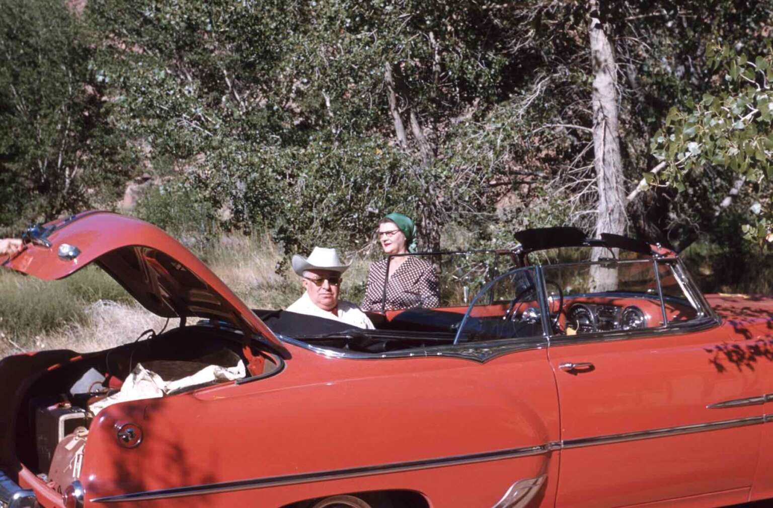 20 Vintage Mid-1950s Cars Photos