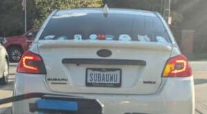 20 License Plates That Got Weirdly Creative