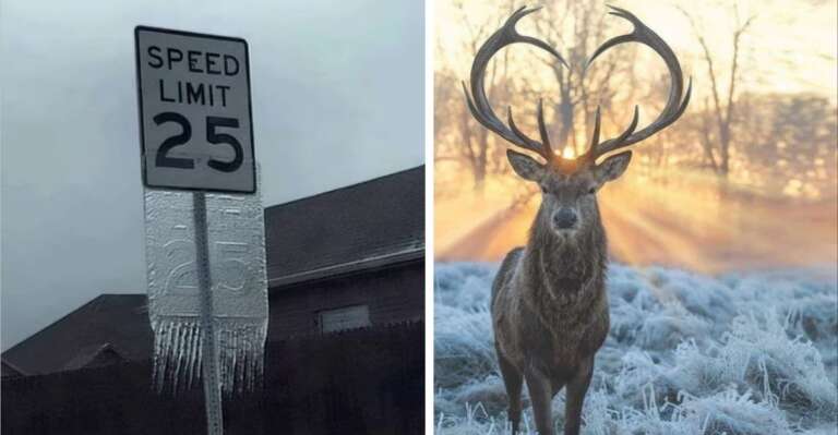 25 Oddly Satisfying Photos That Are Pure Visual Bliss