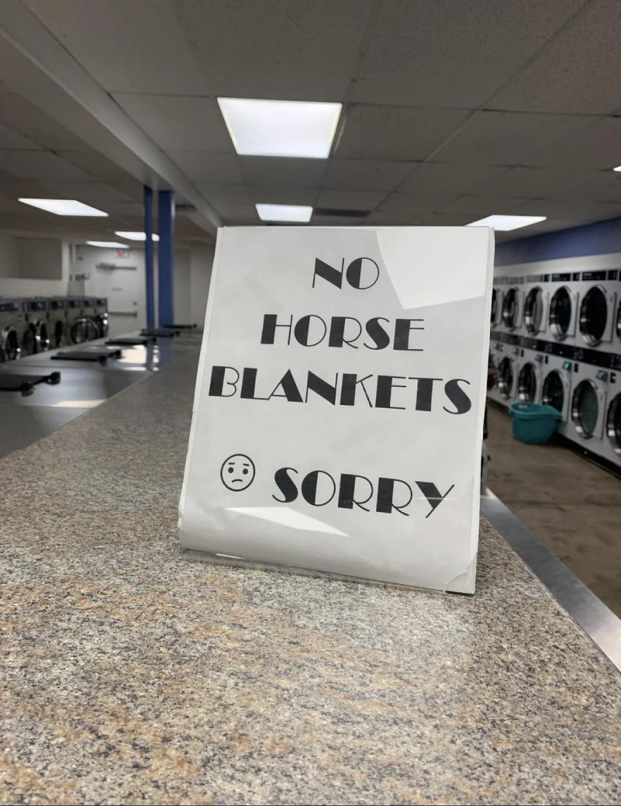 20 Silly Signs That Were Found Upon Aimless Wandering